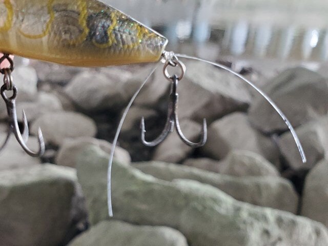 東京湾奥のクロダイが水面を割る時